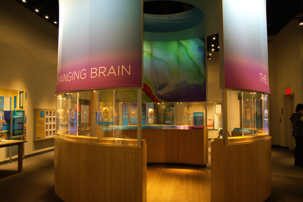 Celebrating a Decade of "Your Brain" at The Franklin Institute ...